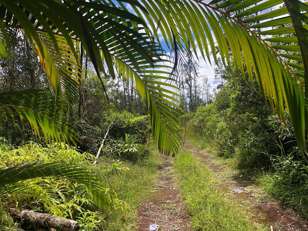 16-1888 36th Ave #13, Kurtistown, HI 96760 - See Est. Value, Schools & More