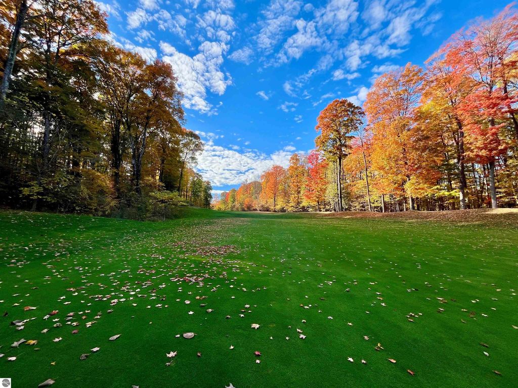 V/l 51 Troon S, Bellaire, MI 49615 | MLS# 1939919 | Trulia