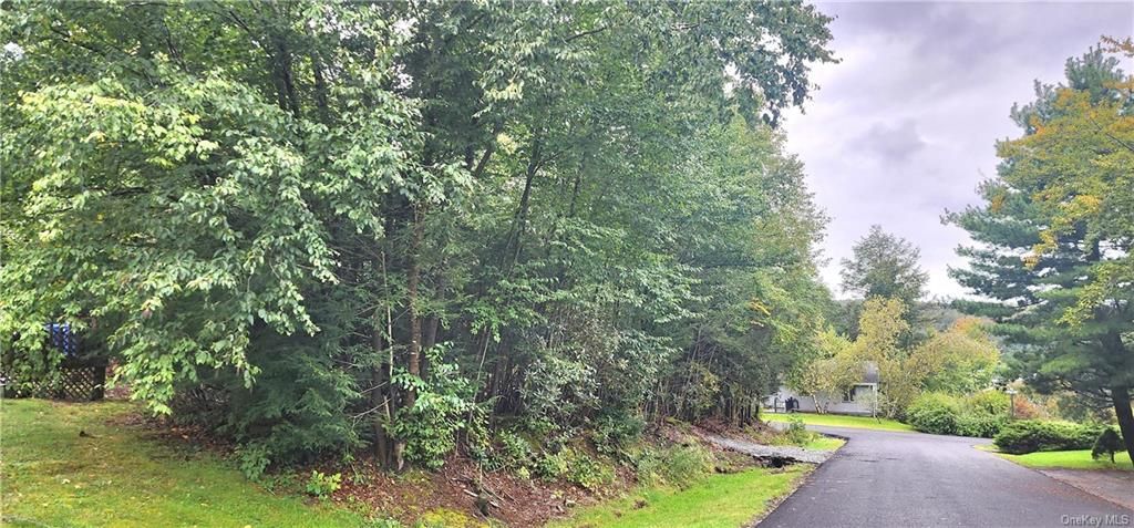 Lakeside Drive, Loch Sheldrake, NY 12759 | Trulia