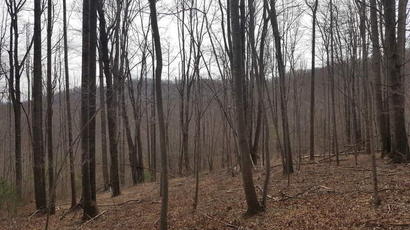 4 Woolwine Hwy, Woolwine, VA 24185 - See Est. Value, Schools & More