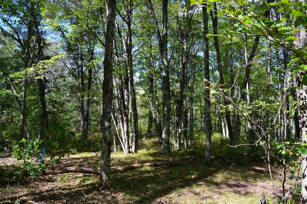 Timms Lake #7, Pembine, WI 54151 - See Est. Value, Schools & More