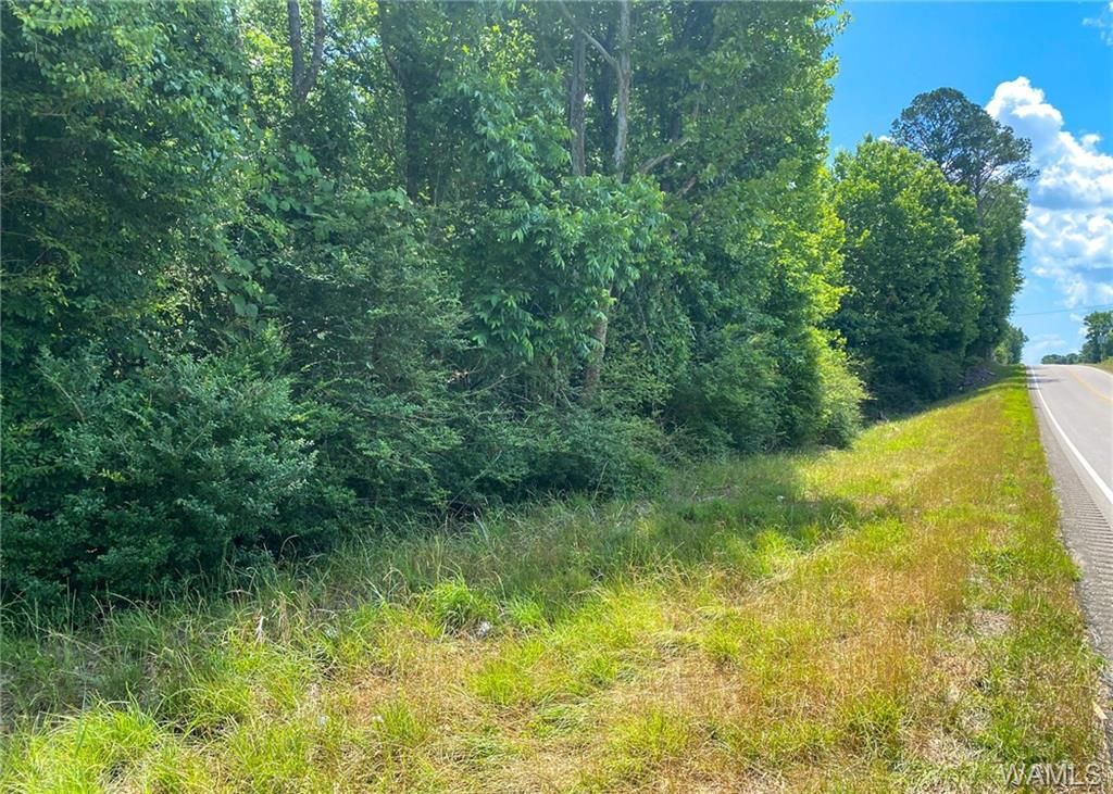 Alabama State Rte #10, Dixons Mills, AL 36736 - See Est. Value, Schools ...