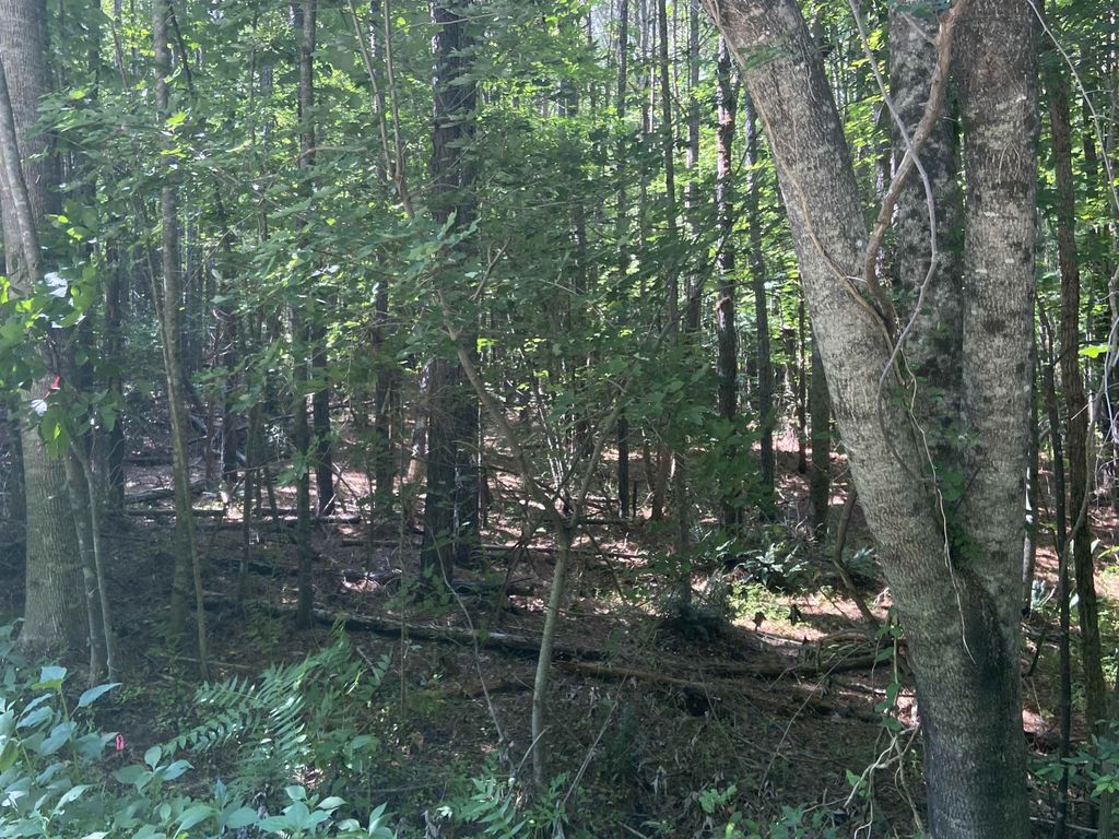 Lot 5 Sims Bridge Rd #5, Kittrell, NC 27544 - See Est. Value, Schools ...