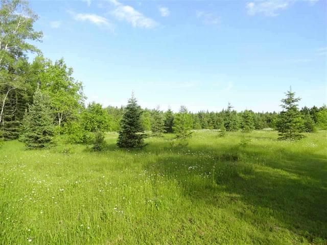 20 Acres Fence River Rd, Michigamme, MI 49861 - See Est. Value, Schools ...
