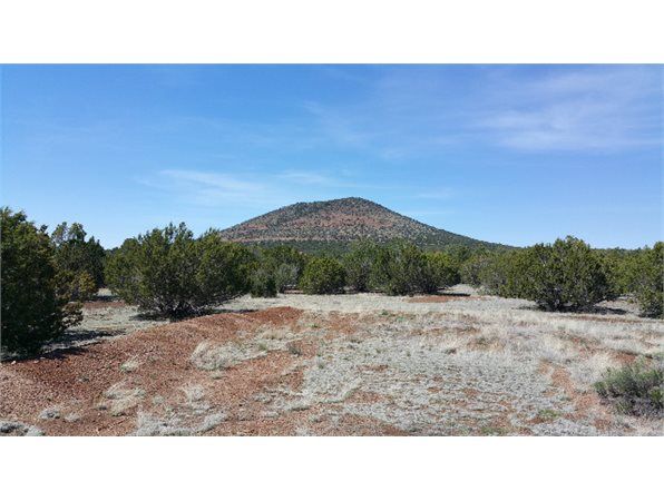 1579 E Buck Mountain Rd, Williams, AZ 86046 - See Est. Value, Schools ...
