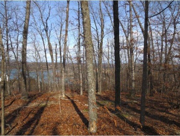 Fine Dr, Galena, MO 65656 - See Est. Value, Schools & More