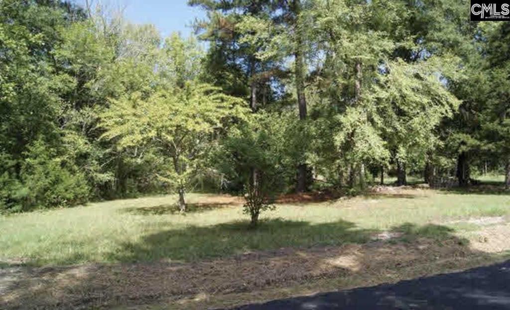 164 John Kinards Cir, Chapin, SC 29036 - See Est. Value, Schools & More