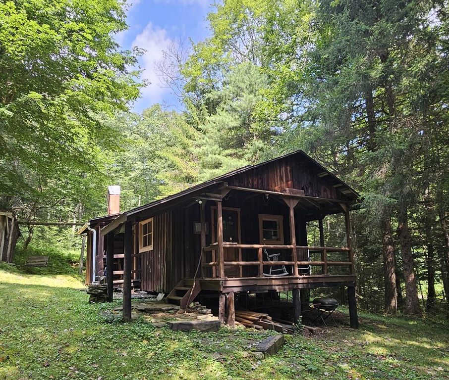 2272 Trout Run Rd, Cammal, PA 17723 - See Est. Value, Schools & More
