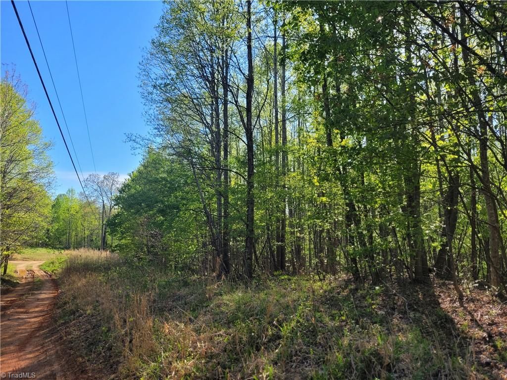 Blue Ridge Ln #6, Sandy Ridge, NC 27046 - See Est. Value, Schools & More