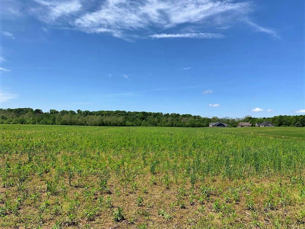 S 825 W #7, Delphi, IN 46923 - See Est. Value, Schools & More