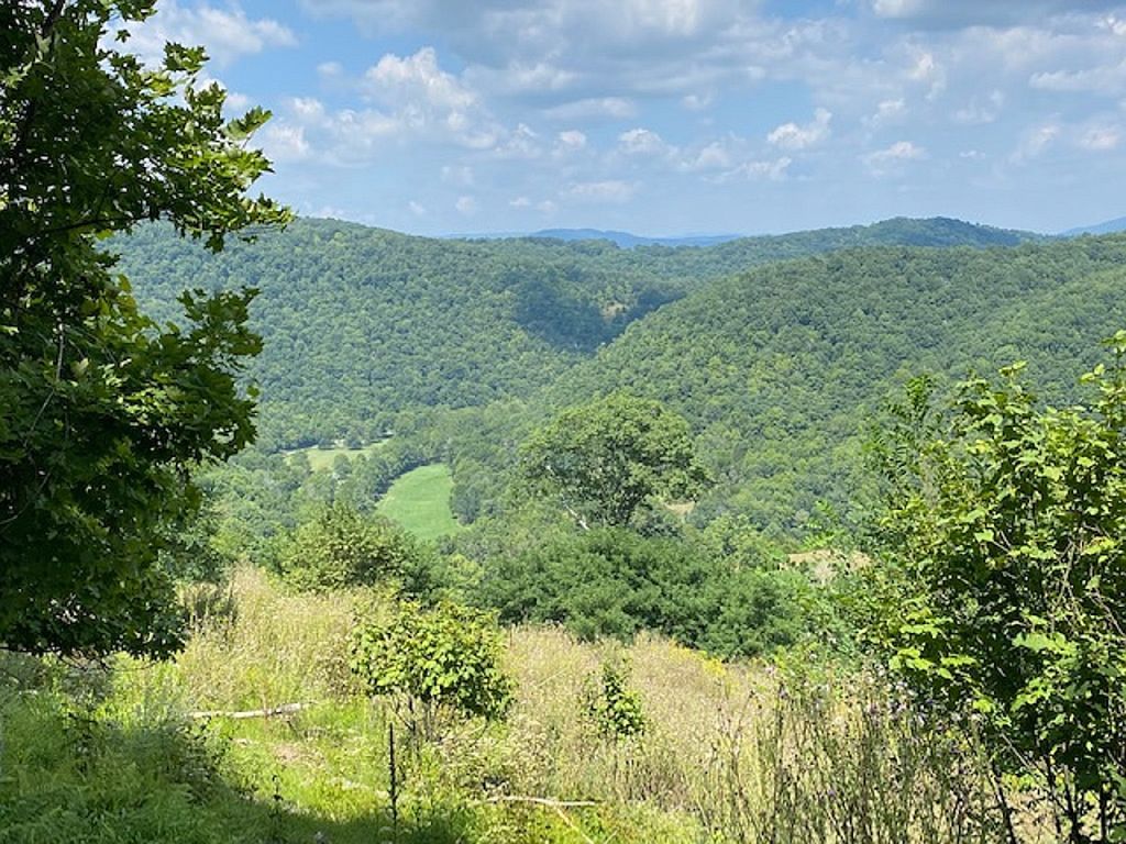 Route 20 Thorn Spring Rd, Franklin, WV 26807 | Trulia