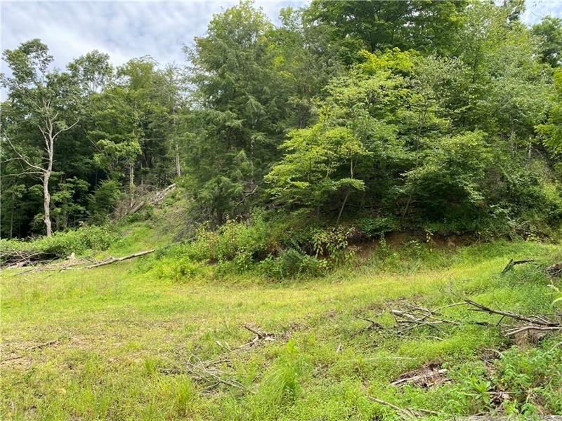 Grantz Hollow Rd, Vandergrift, PA 15690 | Trulia