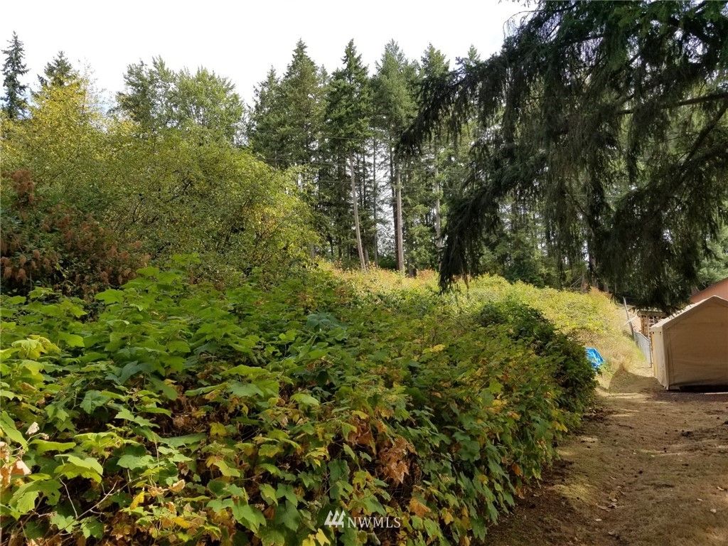 0 xxx S Of 17715 40th Avenue E, Tacoma, WA 98446 | Trulia