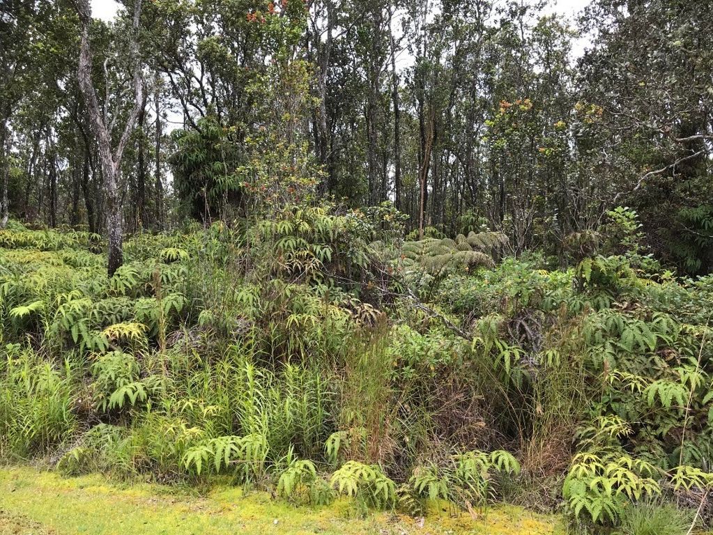 Mokuna St #2170, Volcano, HI 96785 - See Est. Value, Schools & More