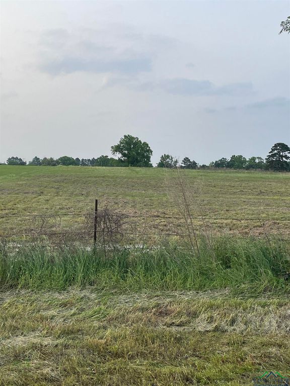 FM 1519 W, Pittsburg, TX 75686 - See Est. Value, Schools & More