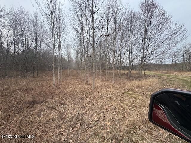 L32.111 NY RT 22 (Baker Land), Hoosick Falls, NY 12090 | MLS# 202515119 ...