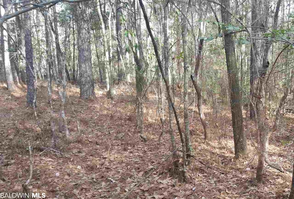 State Highway 59 34/u #2, Stockton, AL 36579 | Trulia