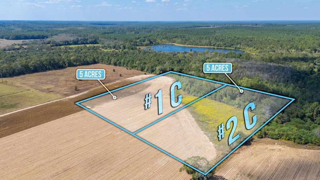C1 McPhail Farm Rd, Florala, AL 36442 | MLS# 25546 | Trulia