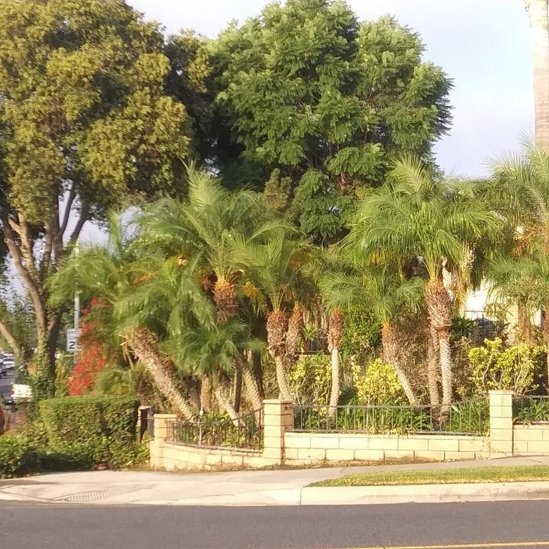 15395 Saranac Dr, Whittier, CA 90604 - See Est. Value, Schools & More