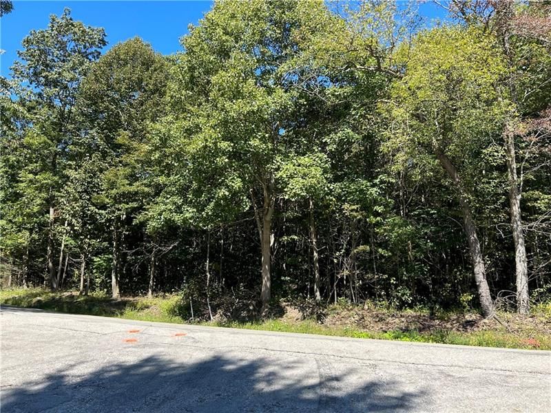 Buchanan Rd, Normalville, PA 15469 | Trulia