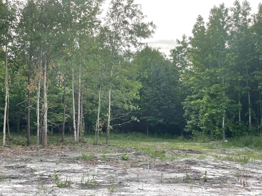 Conner Rd #3, Hodges, SC 29653 Lot/Land for Sale | MLS# 1528872