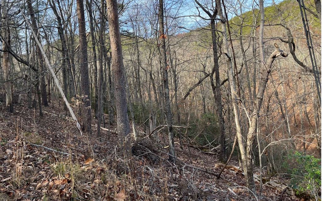 282 Chickasaw Dr, Waleska, GA 30183 | Trulia