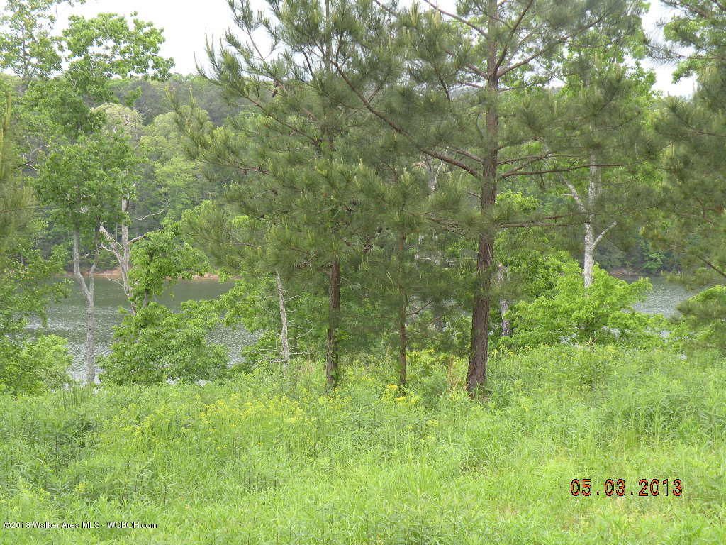 340 County Road 907, Crane Hill, AL 35053 - See Est. Value, Schools & More