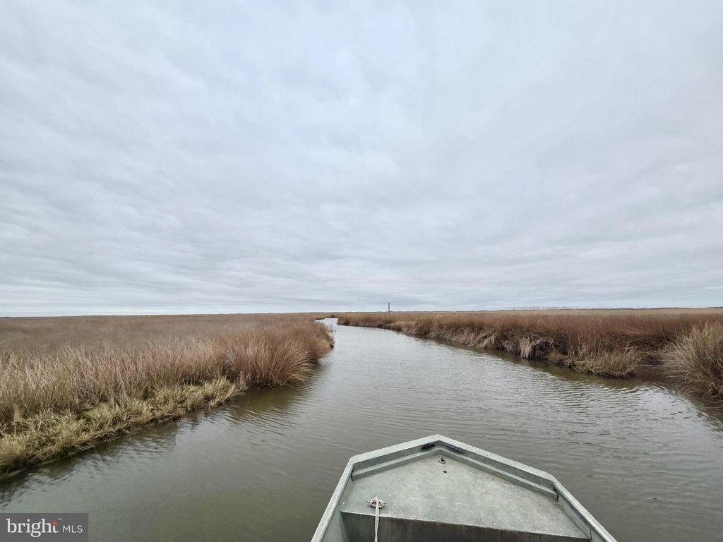 Duck Sika & Waterfowl Muskrat Hbr, Crapo, MD 21626 | MLS# MDDO2011364 ...
