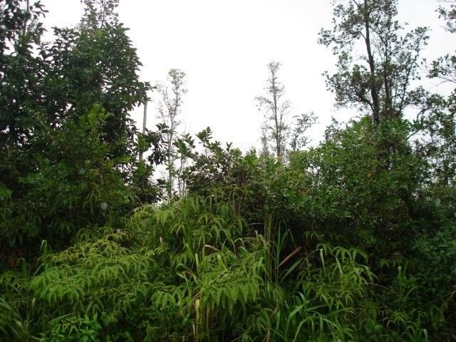 16-2103 Lilikoi Dr #45, Pahoa, HI 96778 - See Est. Value, Schools & More