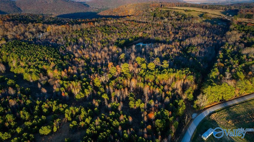 158 Water Tower Loop, Laceys Spring, AL 35754 - See Est. Value, Schools ...