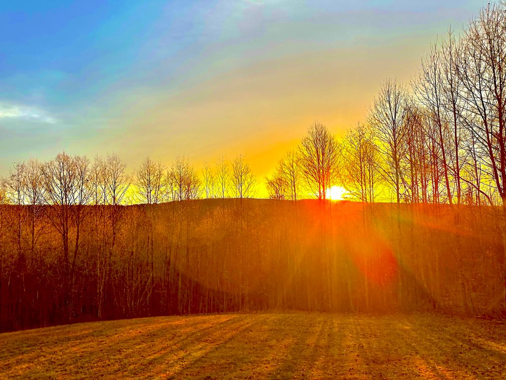 967 Walden Dr, Signal Mountain, TN 37377 | MLS# 1526991 - Trulia | Trulia