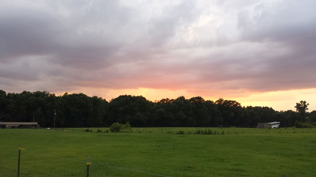 18360 Troy Highway, Mathews, AL 36052 - See Est. Value, Schools & More