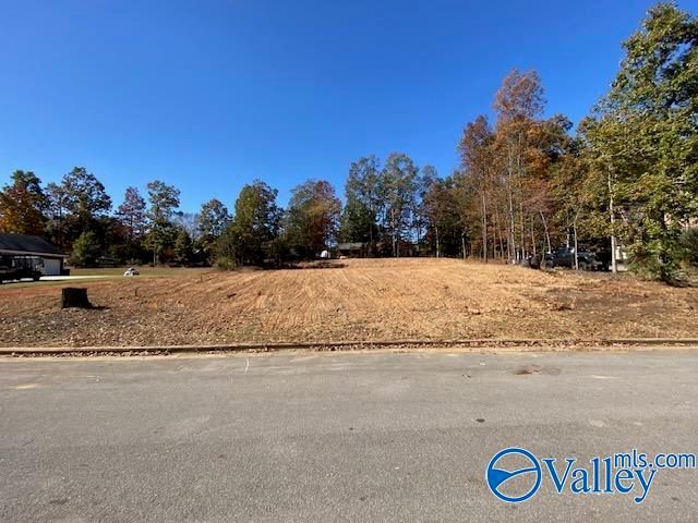 11225 John Pugh Rd, Tanner, AL 35671 - See Est. Value, Schools & More