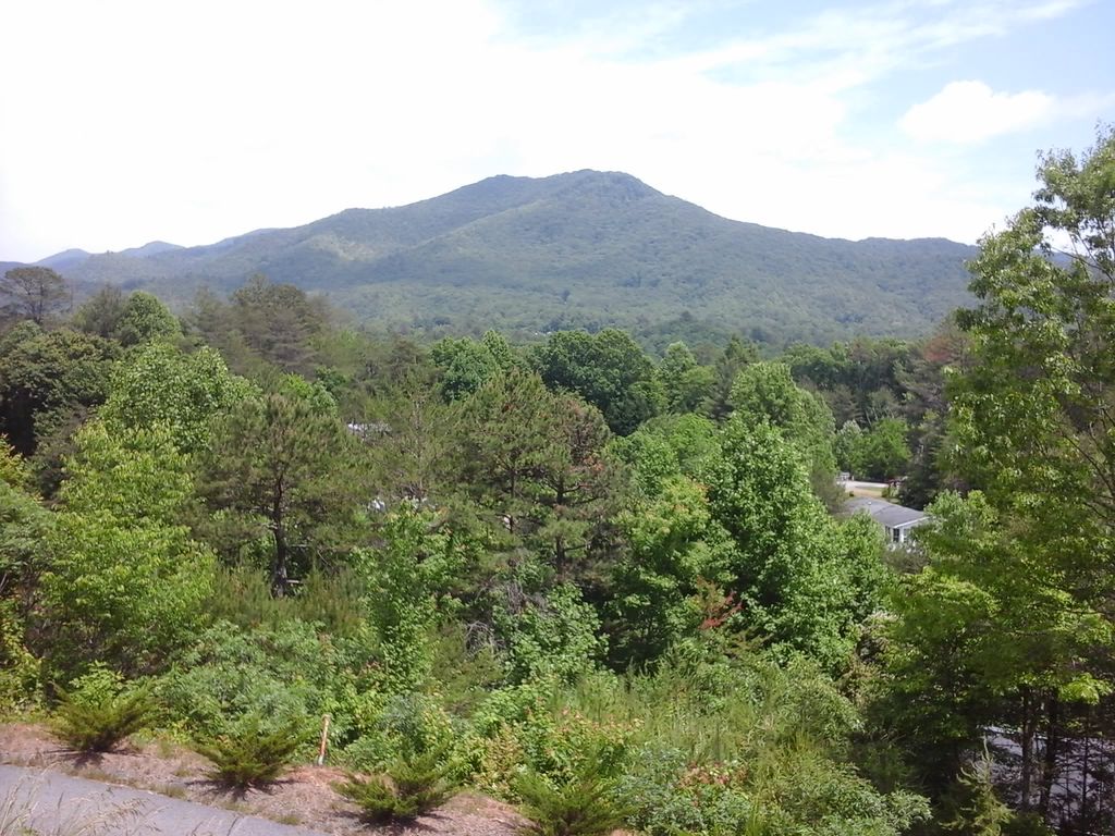 426 Cedar Trce, Birmingham, AL 35244 - See Est. Value, Schools & More