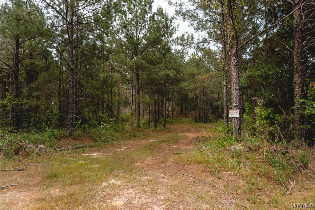 8645 Highway 159, Fayette, AL 35555 | Trulia