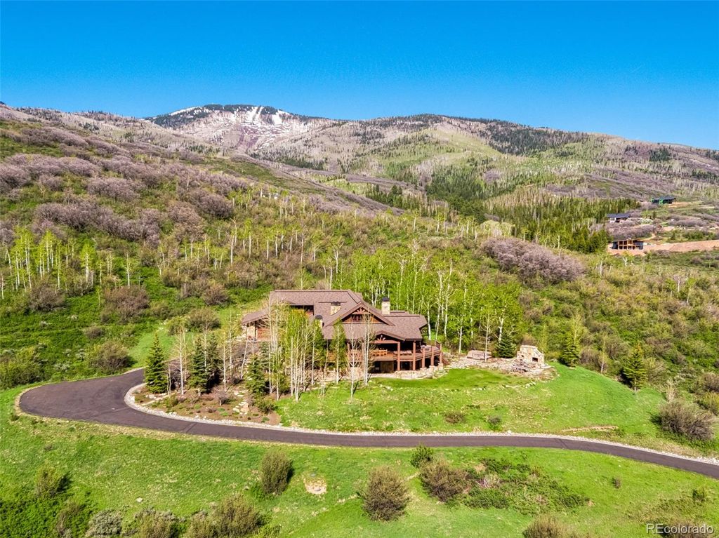 33175 Priest Creek Court, Steamboat Springs, CO 80487 | MLS# 4583170 ...