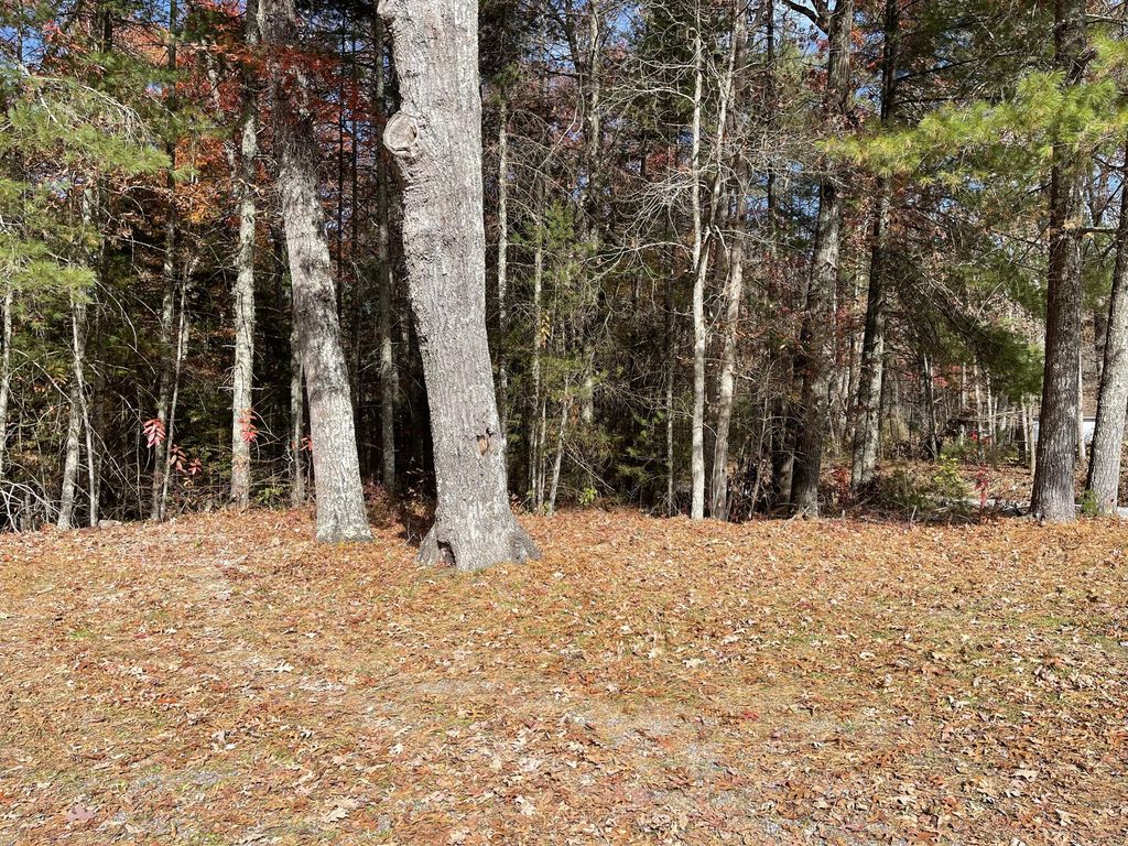 2075 Wright Mountain Rd, Rock, WV 24747 | MLS# 23-861 | Trulia