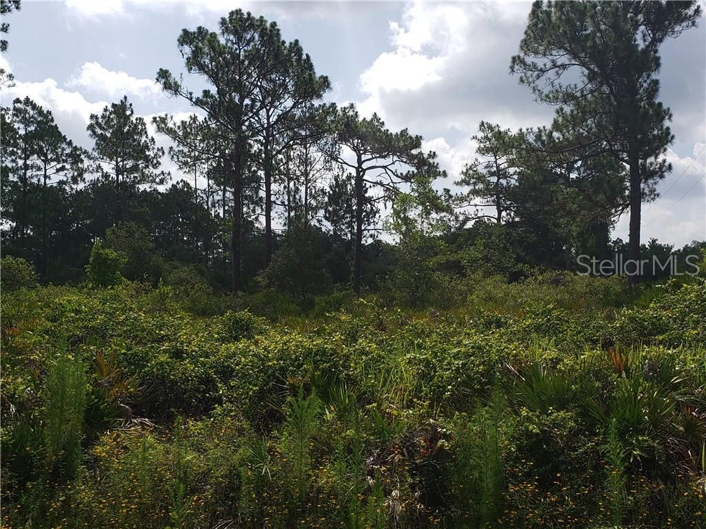 Violet Ave, Eustis, FL 32736 - See Est. Value, Schools & More