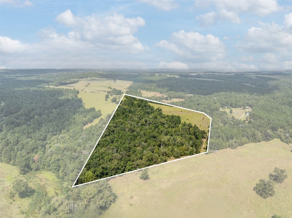 An County Rd #5, Palestine, TX 75801 | MLS# 21078130 | Trulia