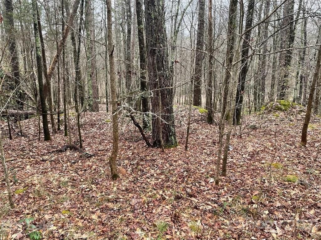 Berryhill Dr, Shelby, NC 28150 - See Est. Value, Schools & More