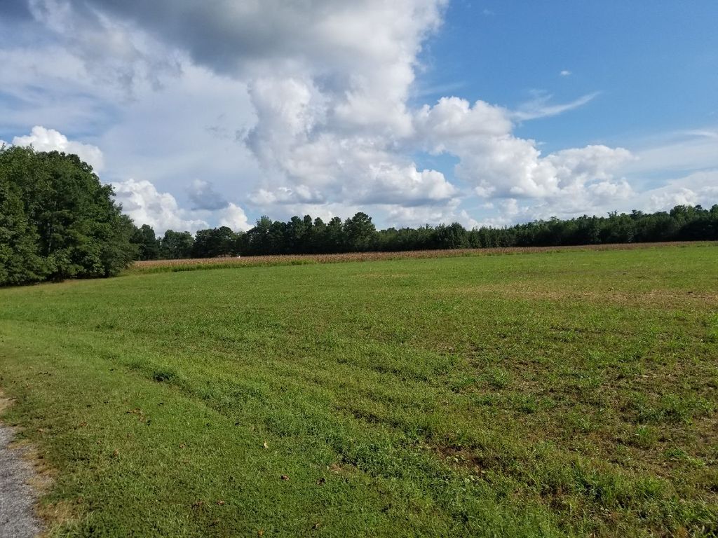 Fox Branch Rd, Carson, VA 23830 | Trulia