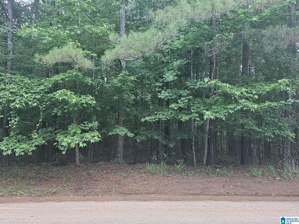 Lot 26 County Road 106, Logan, AL 35098 | MLS# 21388050 | Trulia