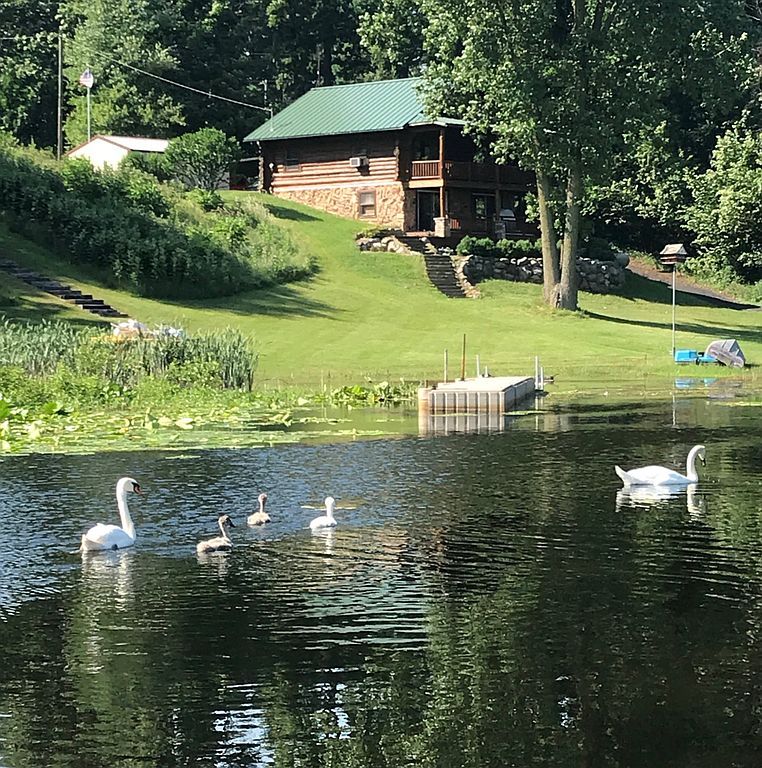 61851 Ochala Dr, Jones, MI 49061 | Trulia