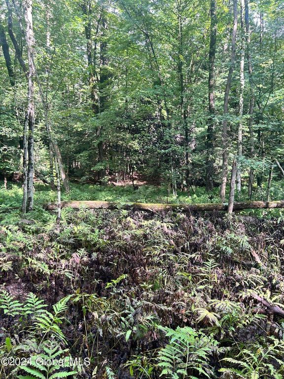 L13.123 Route 29, Galway, NY 12074 - See Est. Value, Schools & More