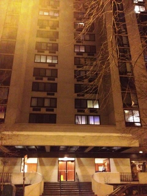 1221 N Dearborn St #P1-N, Chicago, IL 60610 - See Est. Value, Schools ...