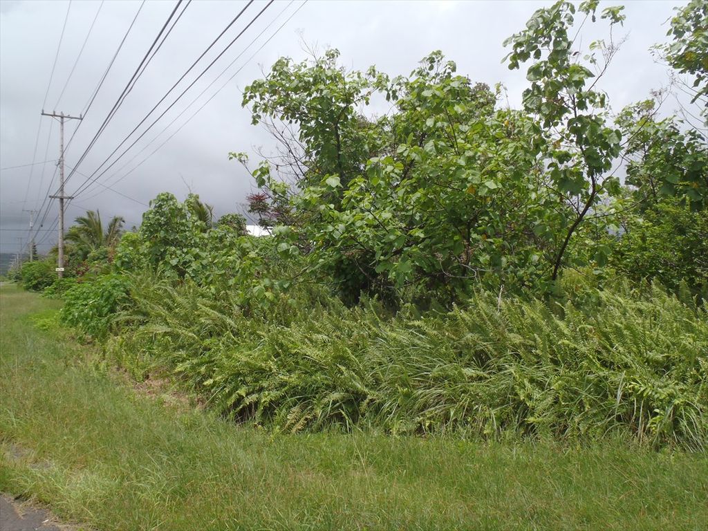 Mapuana Ave #129, Pahoa, HI 96778 - See Est. Value, Schools & More