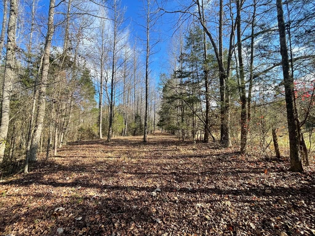 County Road 202, Oxford, MS 38655 | MLS# 159676 | Trulia