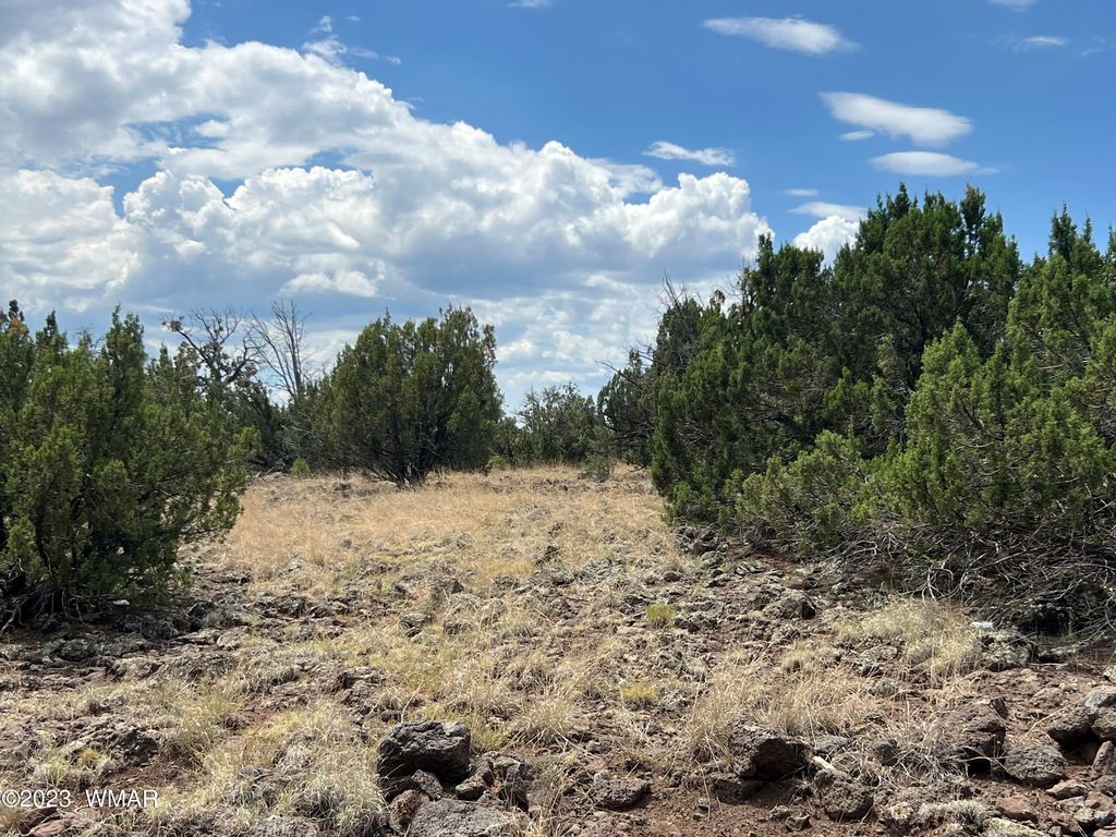 33& 37 Ranch Rd, Concho, AZ 85924 | MLS# 247271 | Trulia