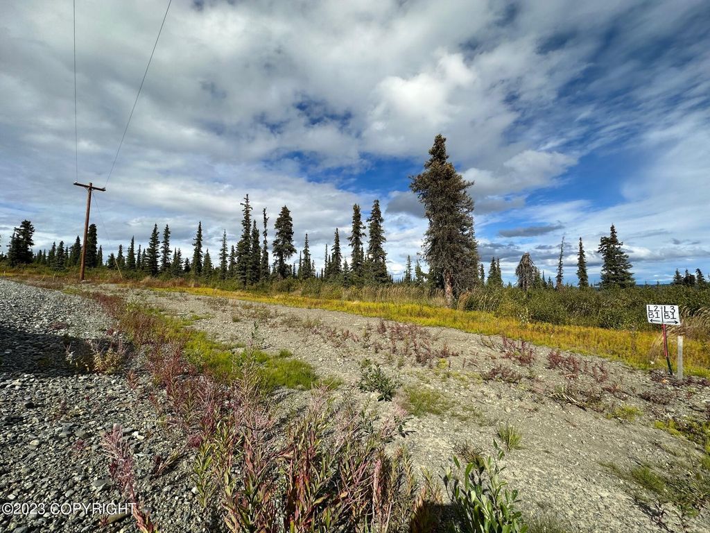 49093 S Timberwolf Rd, Chickaloon, AK 99674 - See Est. Value, Schools ...