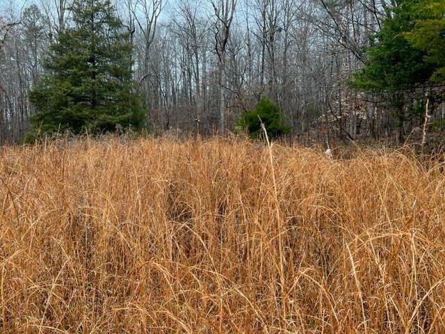 255 S Port Bass Dr, Fair Play, SC 29643 | Trulia